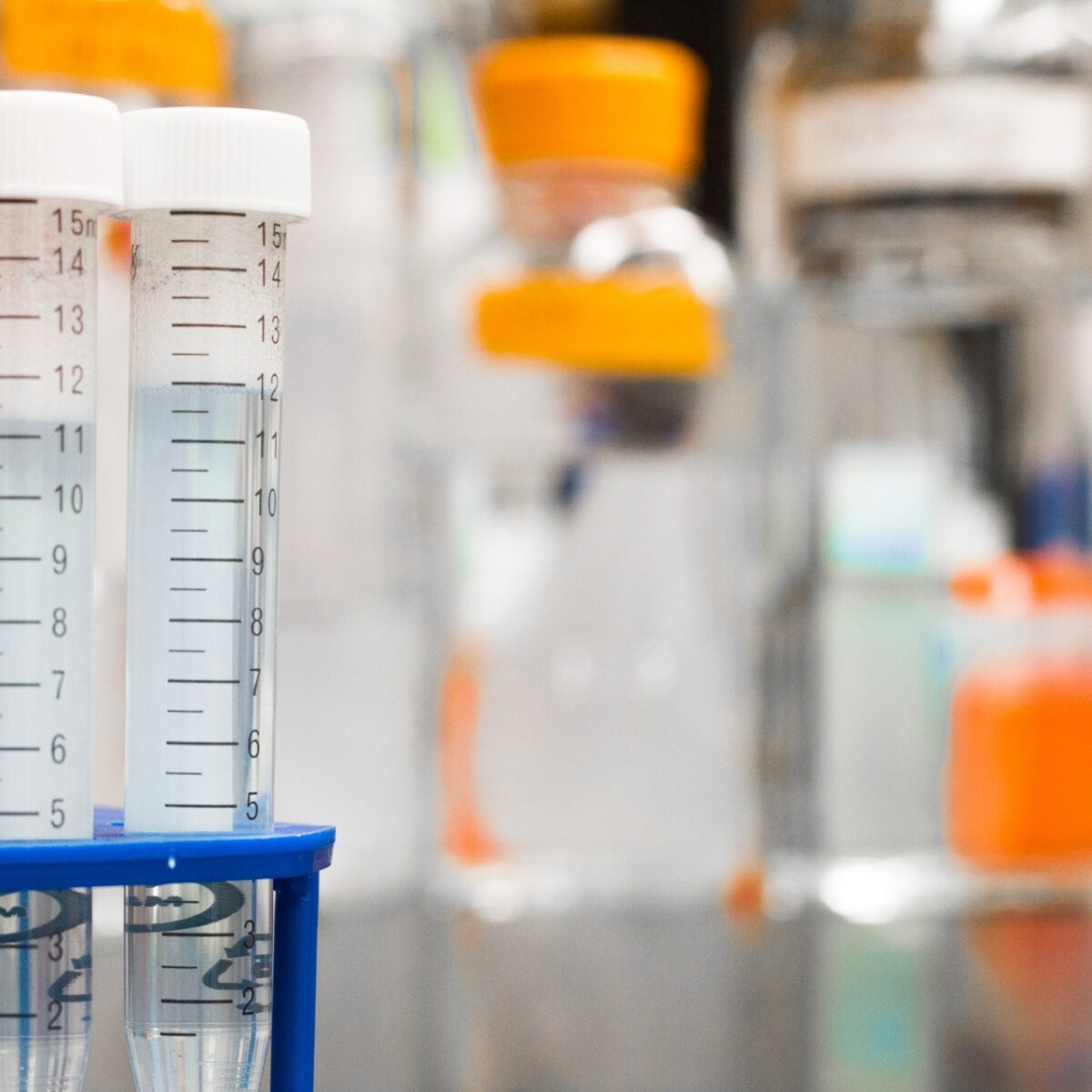 MRT Food Sensitivity Testing - ARMSTRONG BODY SYSTEMS